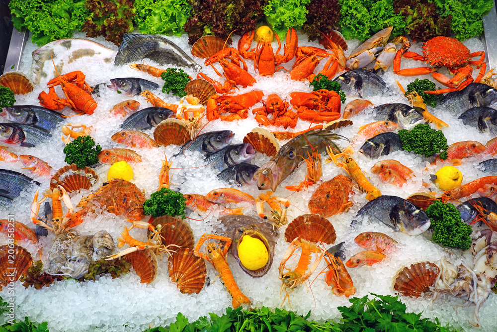 Fresh Seafood Display