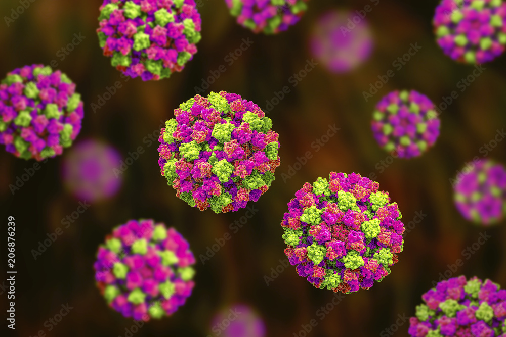 Norovirus, winter vomiting bug, RNA virus from Caliciviridae family ...