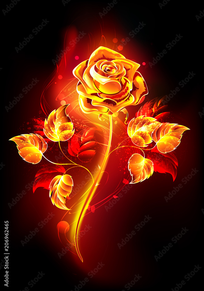 Fire rose Stock Illustration | Adobe Stock