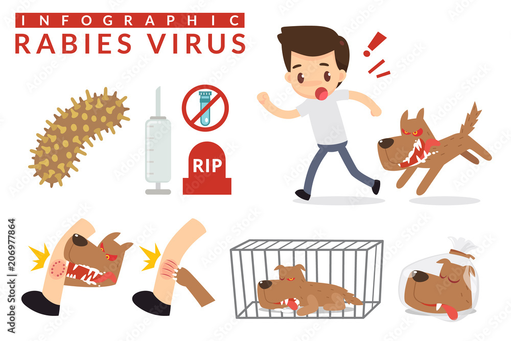 Rabies cartoon infographic. Infographic. Stock Illustration | Adobe Stock