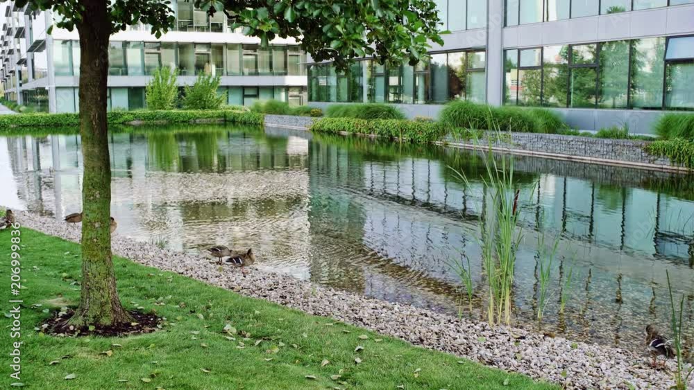 Office building beside the lake overview of the water and eco-landscape ...