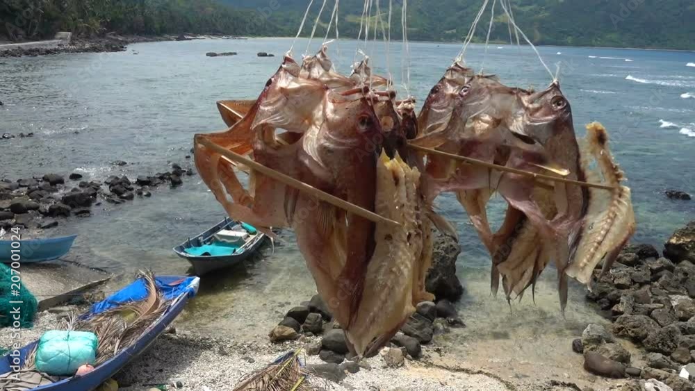 Fish hanging for drying, traditional food in the Philippines, Batanes ...