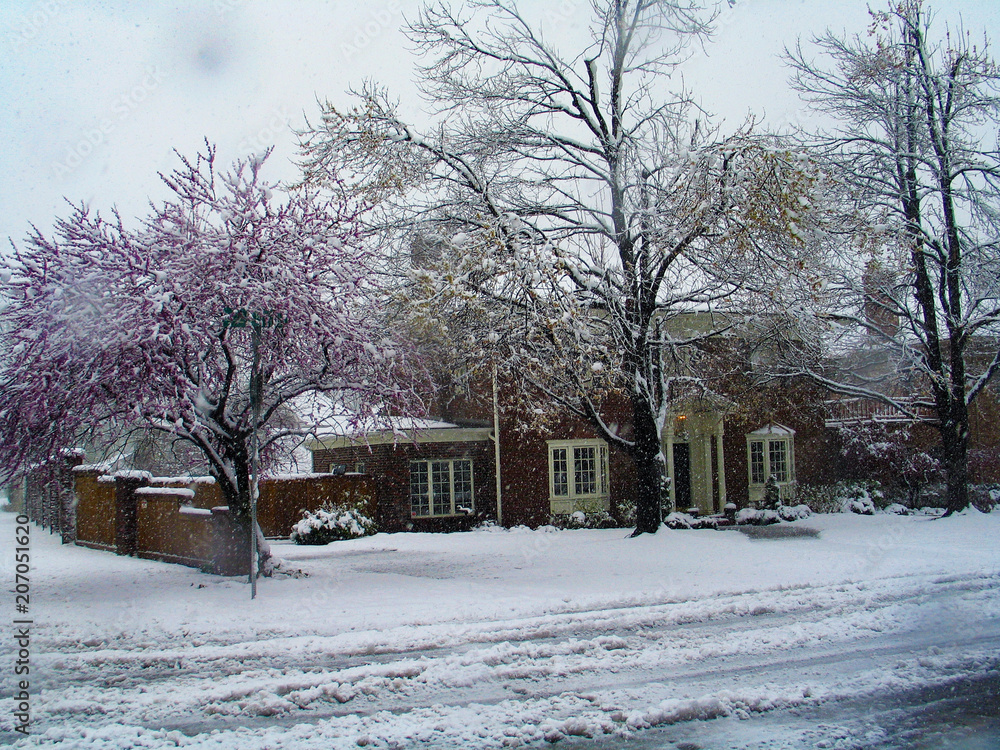 Traditional home during snowfall in early spring with trees blooming ...