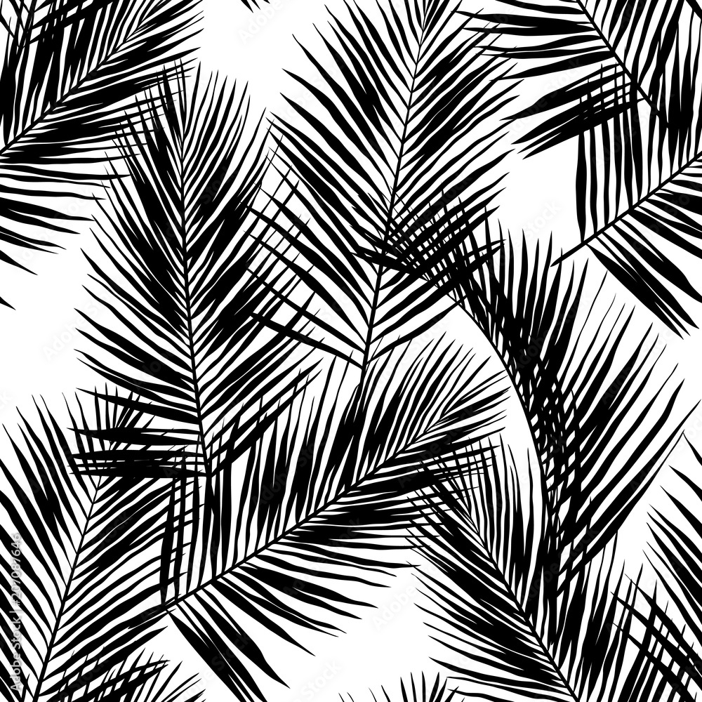 Black vector palm leaves isolated on white background. Hand drawn ...