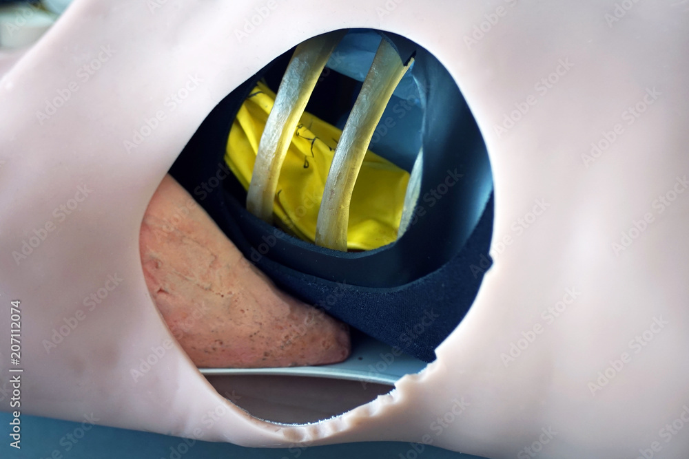 Open wound of the thorax. dummy to perform energency help for open ...