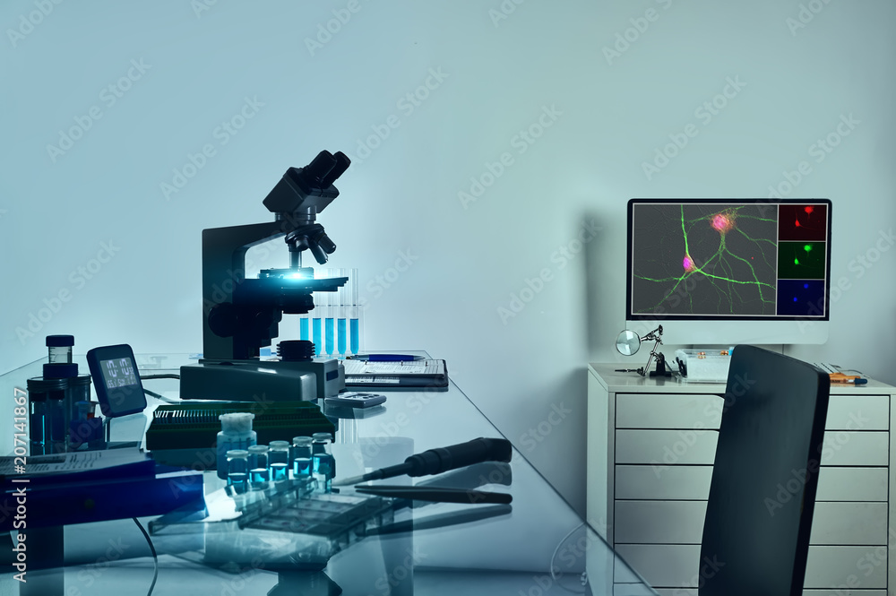 Microscope, computer monitor with digital fluorescent image of neuronal ...