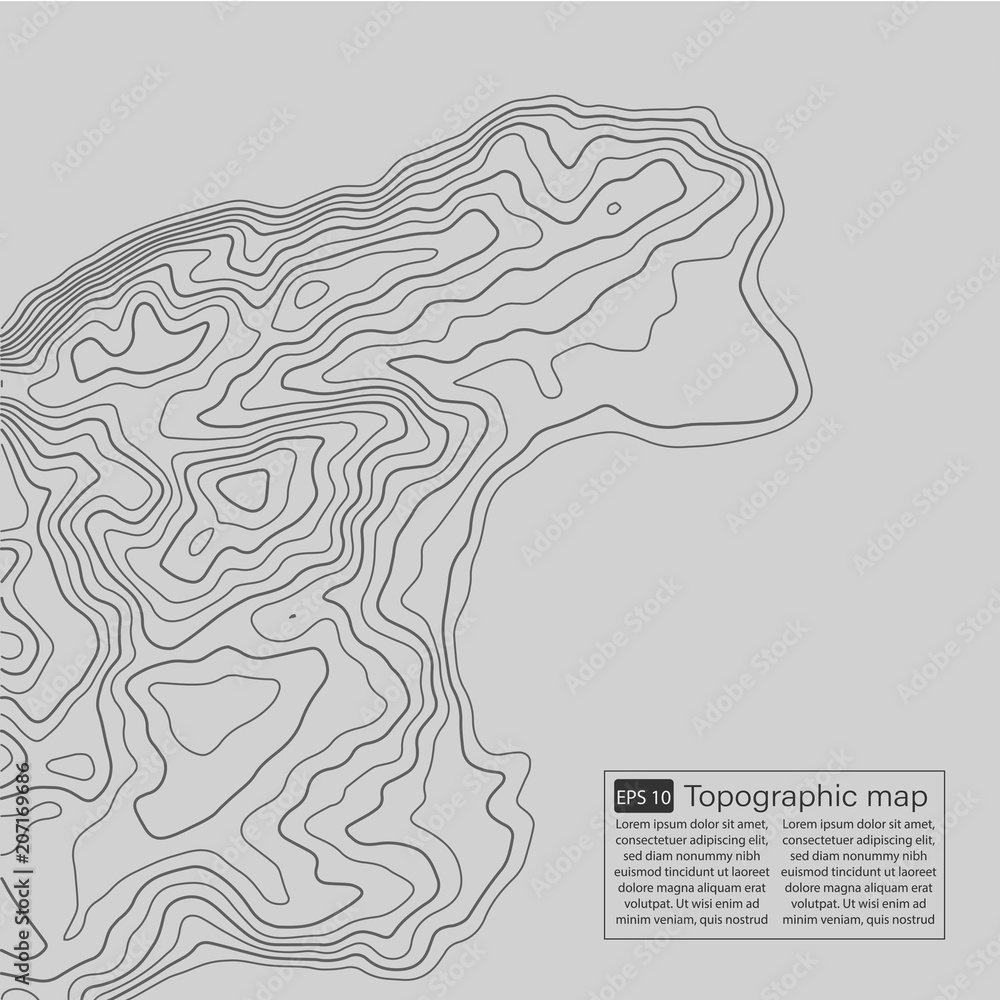 Topographic map. Topographical background. Linear graphics. Vector ...