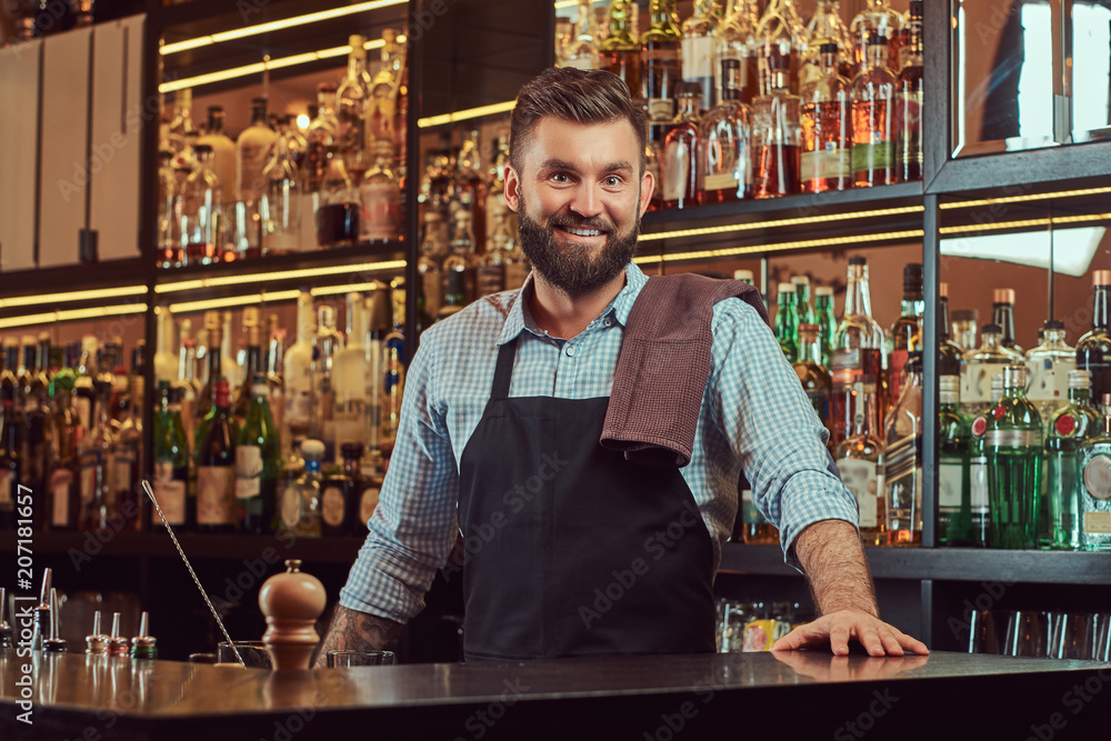 Stylish bearded bartender in a shirt and apron standing at bar counter ...
