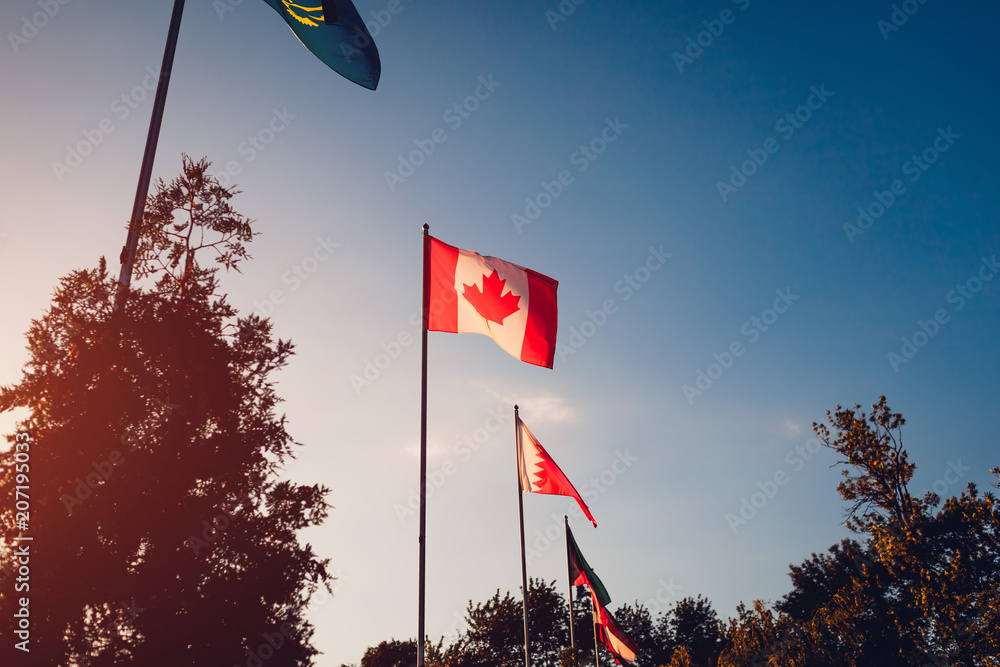 A row of flying flags of nations on sunset sky background. Flags of ...