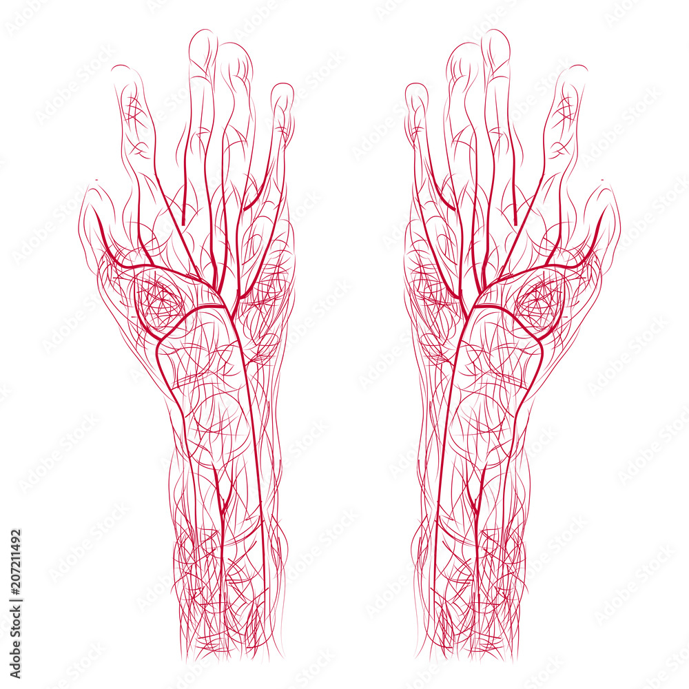 Hand Bleeding Drawing