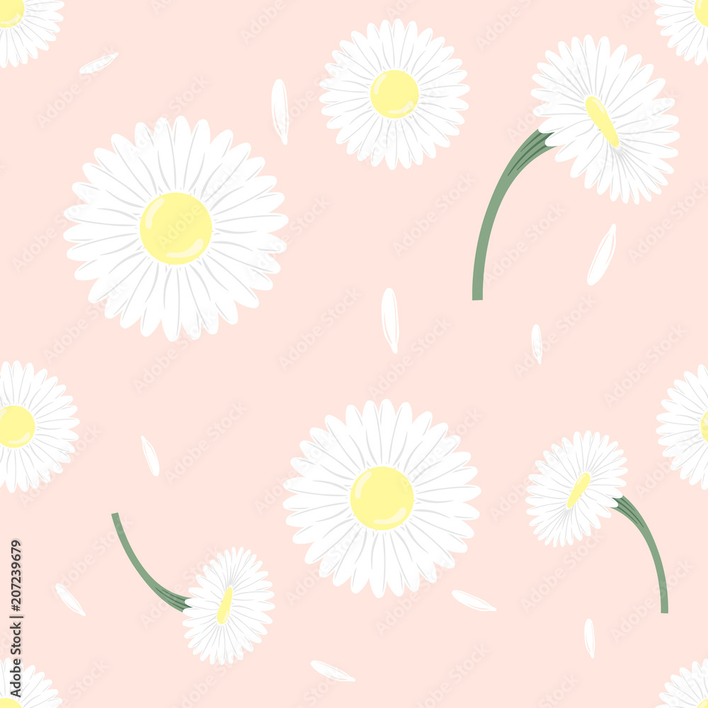 Light Pink Daisy Background