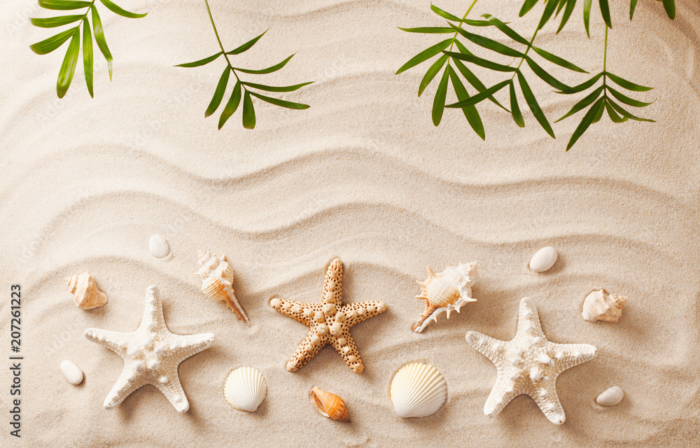 Sea shells on sand. Summer beach background Stock Photo | Adobe Stock