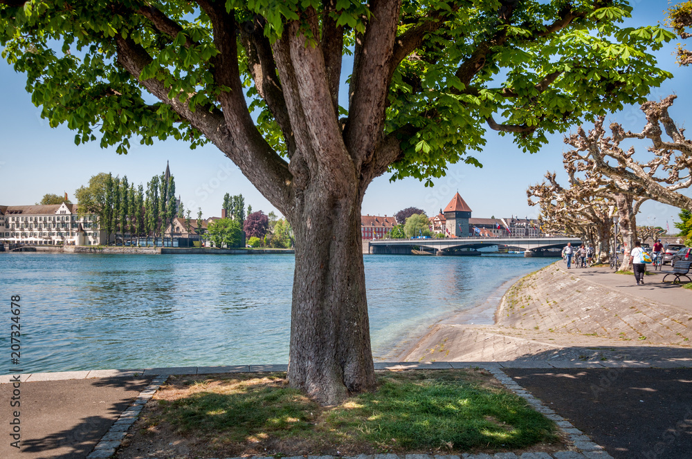 Constance au bord du lac de Constance Stock-Foto | Adobe Stock
