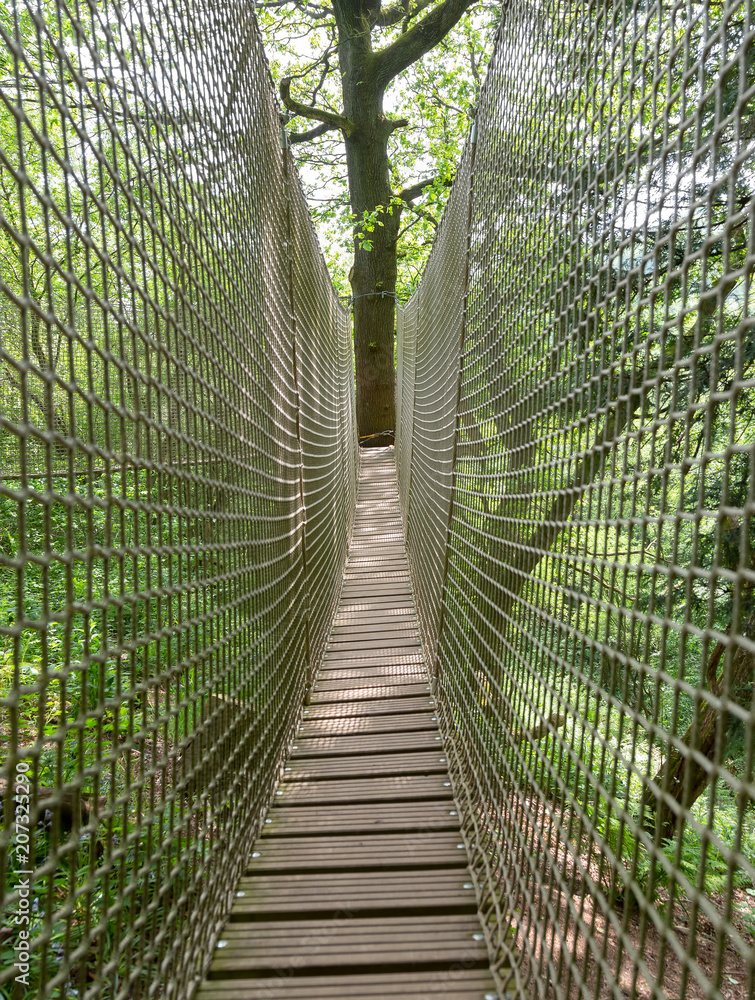 Rope and net bridge suspended between trees Stock Photo | Adobe Stock