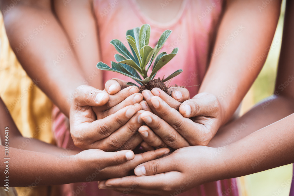 Children and parent holding young tree in hands for planting together ...
