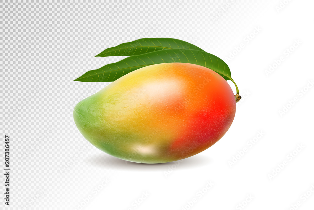 3D realistic orange red green mango on transparent background, mesh ...