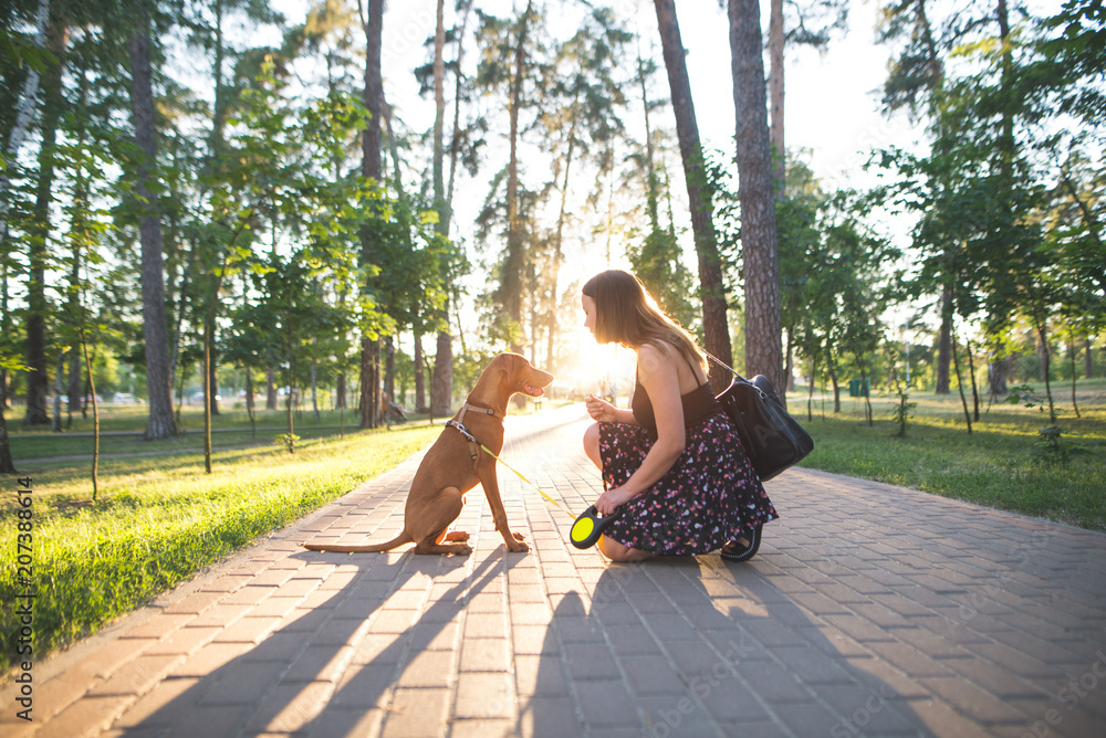 Beautiful dog and pretty girl sitting on the alley in the park on the ...
