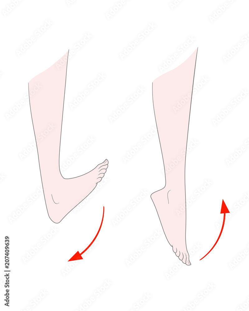 Exercise for flexibility of the ankle joint. A bare foot of a woman ...