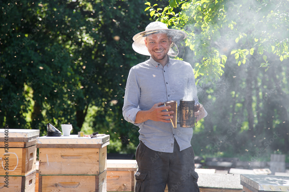 Beekeeper at work by the wooden bee hives. Young farmer in his farm ...