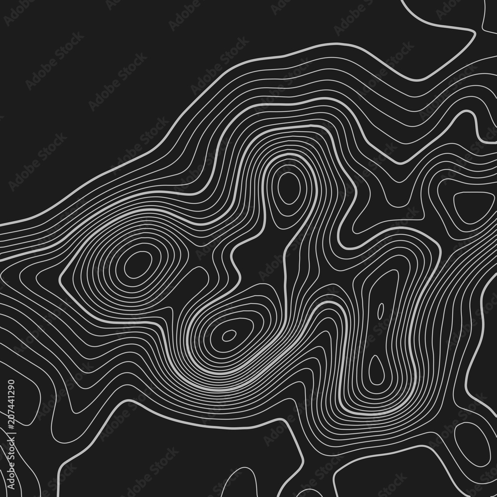 Topographic map. Topographical background. Linear graphics. Vector ...