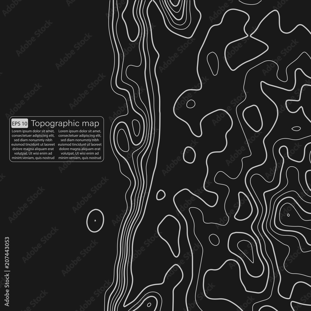Topographic map. Topographical background. Linear graphics. Vector ...