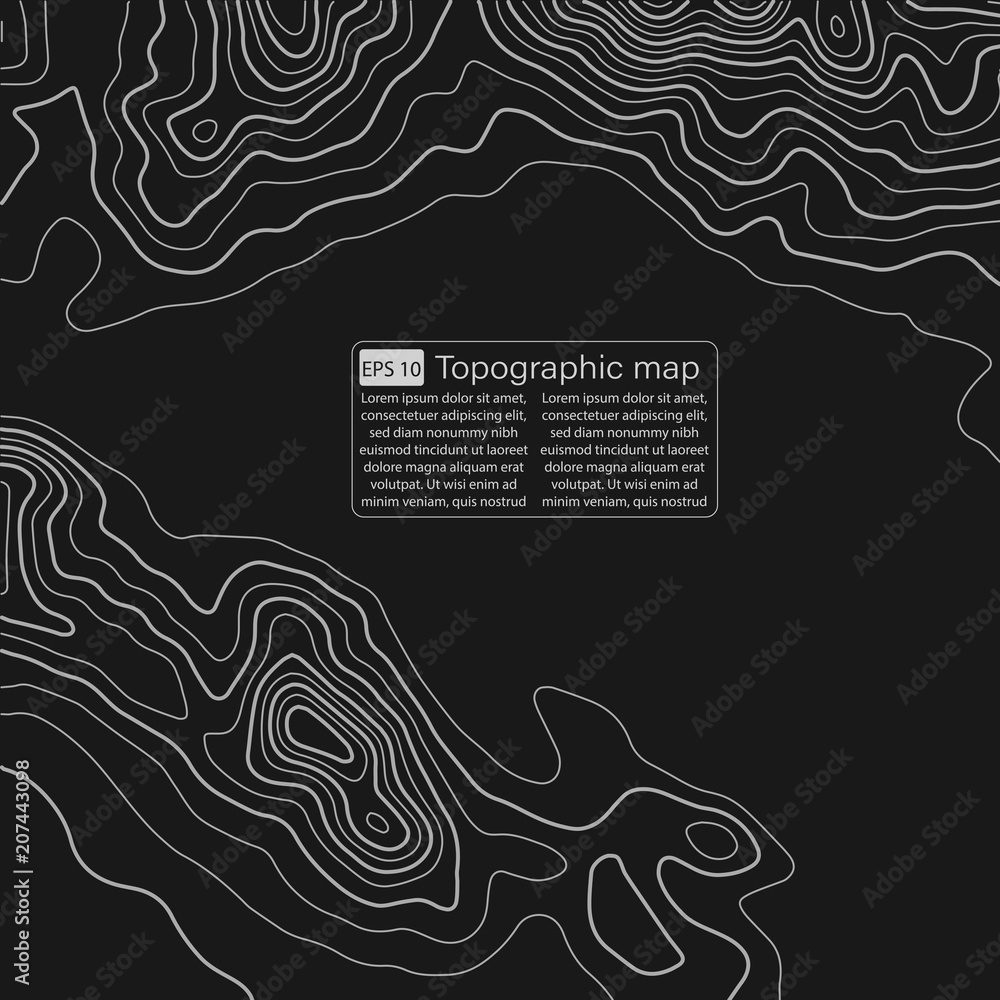 Topographic map. Topographical background. Linear graphics. Vector ...