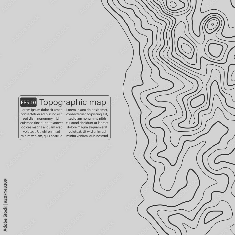 Topographic map. Topographical background. Linear graphics. Vector ...