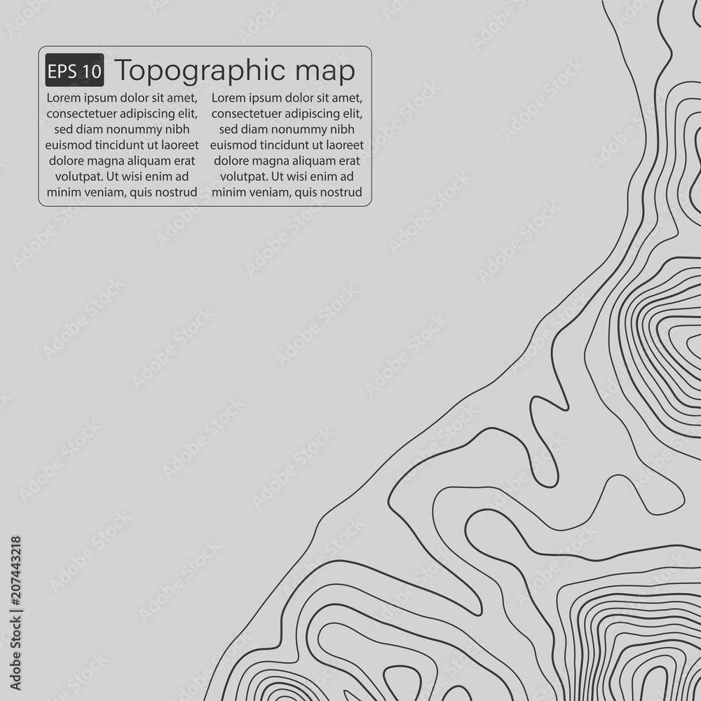 Topographic map. Topographical background. Linear graphics. Vector ...