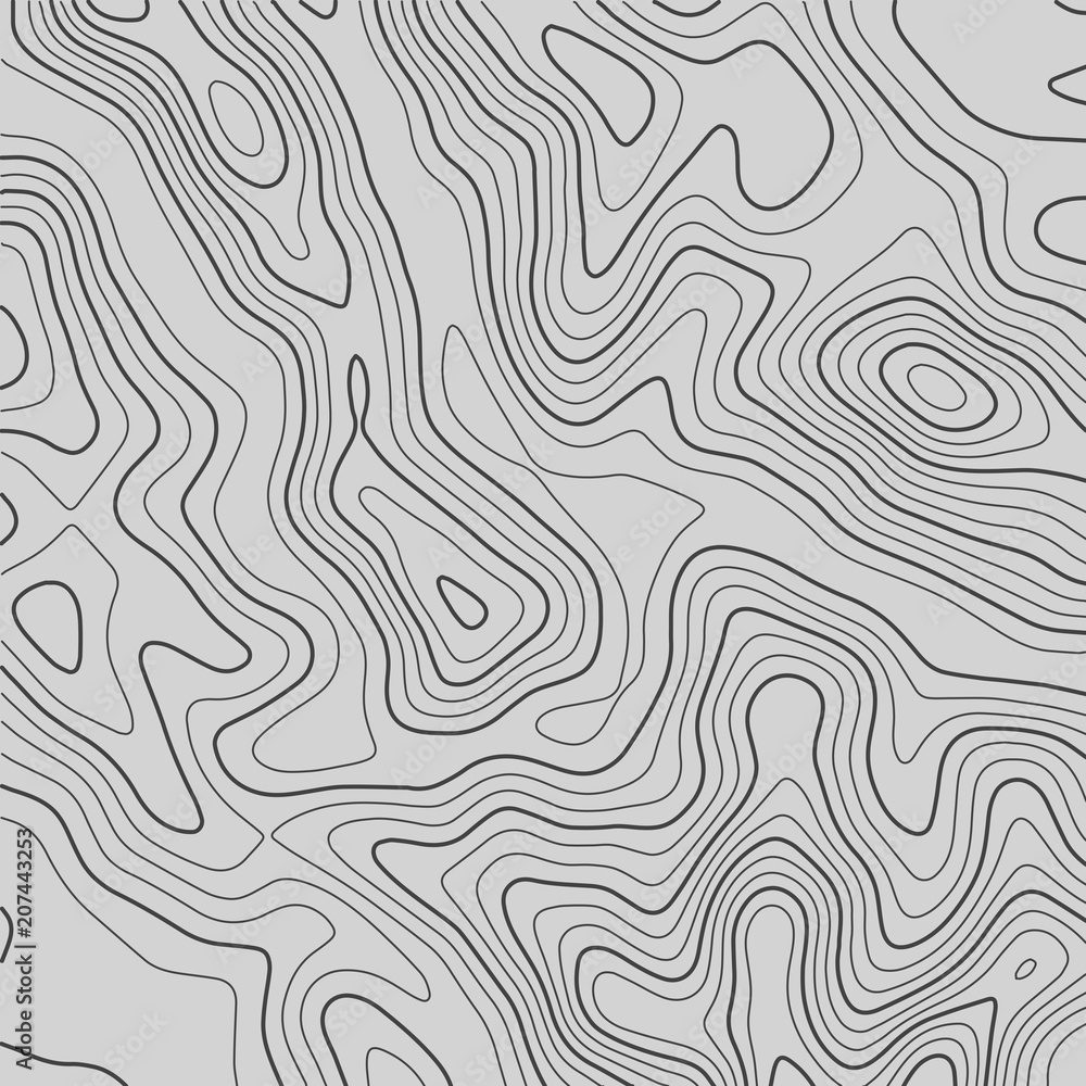 Topographic map. Topographical background. Linear graphics. Vector ...