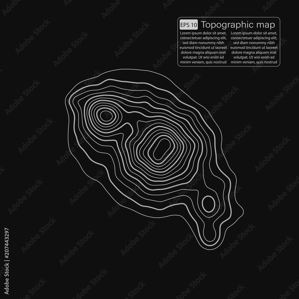 Topographic map. Topographical background. Linear graphics. Vector ...