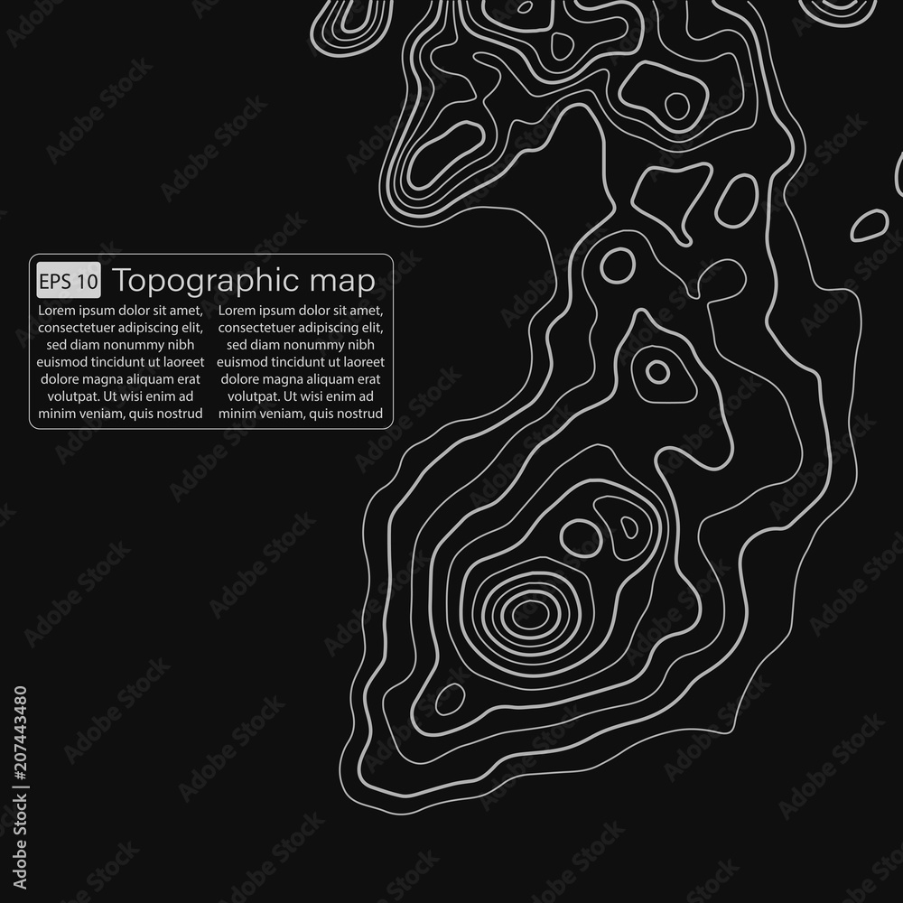 Topographic map. Topographical background. Linear graphics. Vector ...