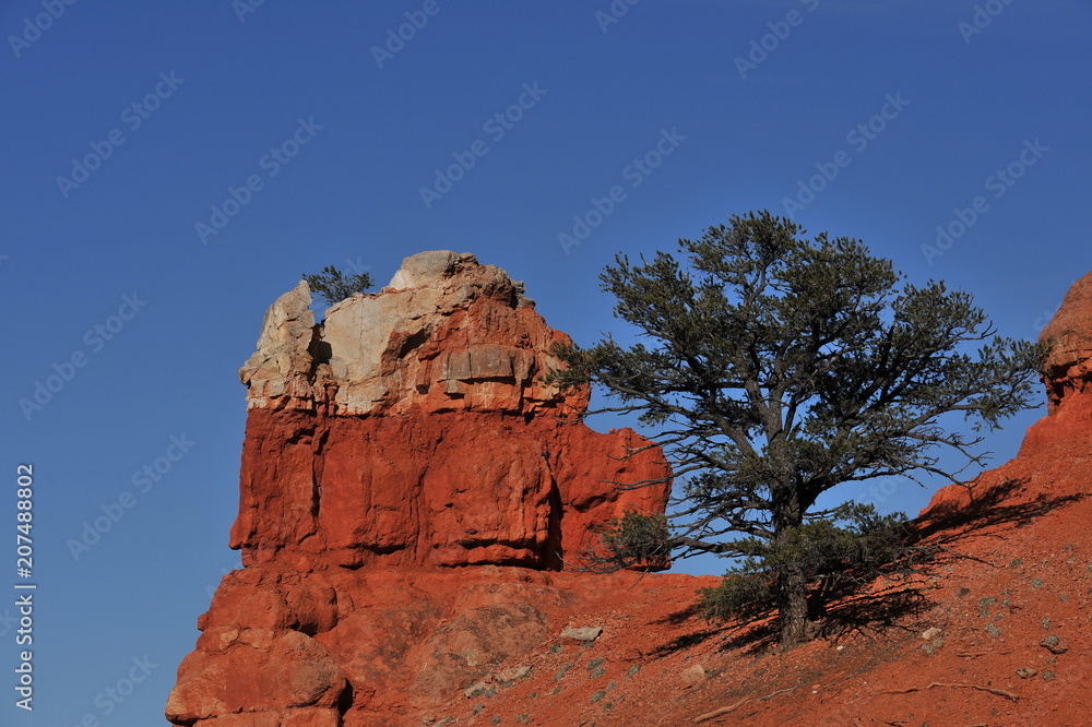 Red Rock Canyon became famous all over the world thanks to the film ...