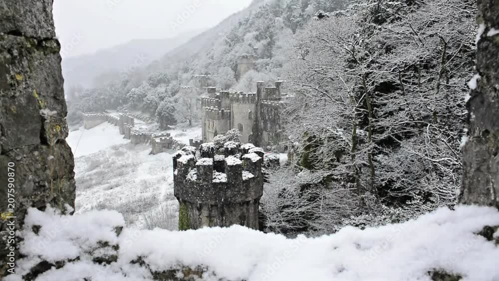 Gwrych castle Ruins framed by turret wall, British European castle ...