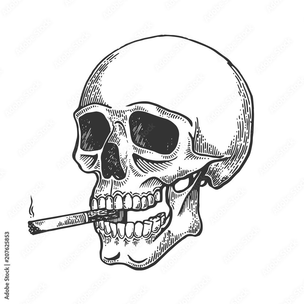 Skull smoking cigarette engraving vector Stock Vector | Adobe Stock