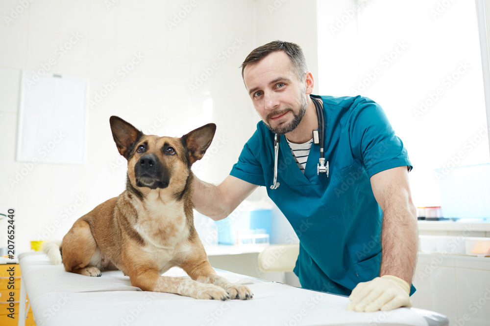 Young veterinarian and one of his patients having appointment in vet ...