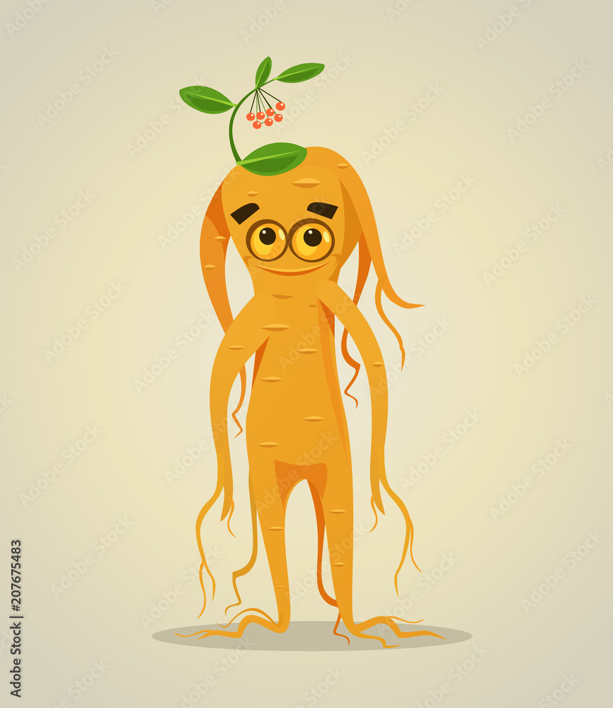 Happy smiling Siberian ginger root character mascot. Healthy food ...