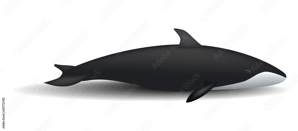 Orca whale mockup. Realistic illustration of orca whale vector mockup ...