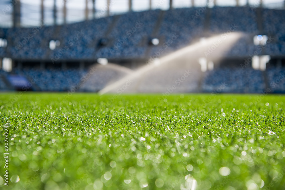 Grass on stadium in sunlight. Closeup of a green football field. Wet ...