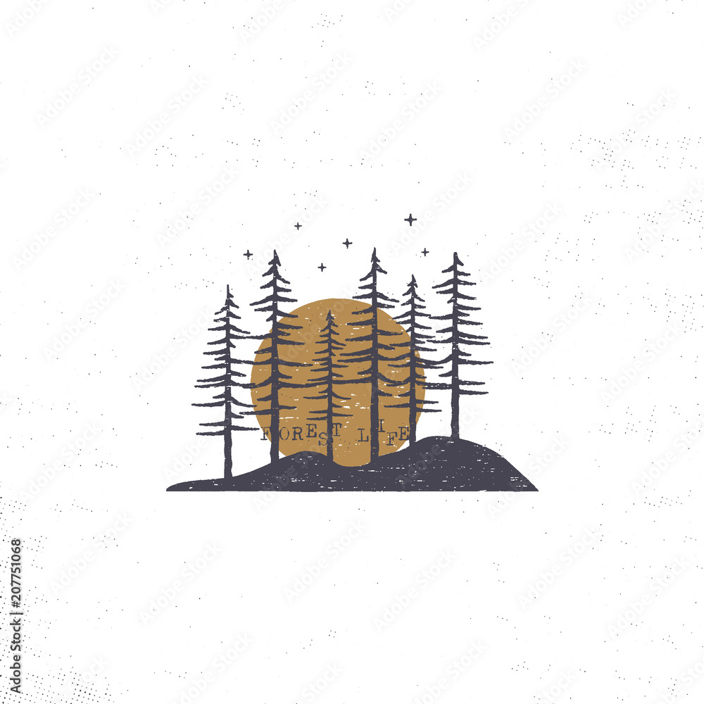 Hand drawn forest with sun concept. Pine trees textured illustration ...