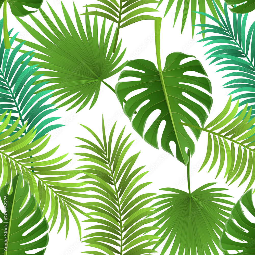 Seamless palm leaf pattern with different species. Vector illustration ...