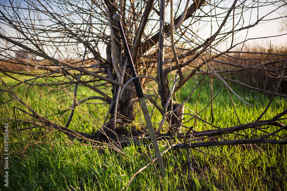 two-handed sword in the ground, against the background of a green field ...