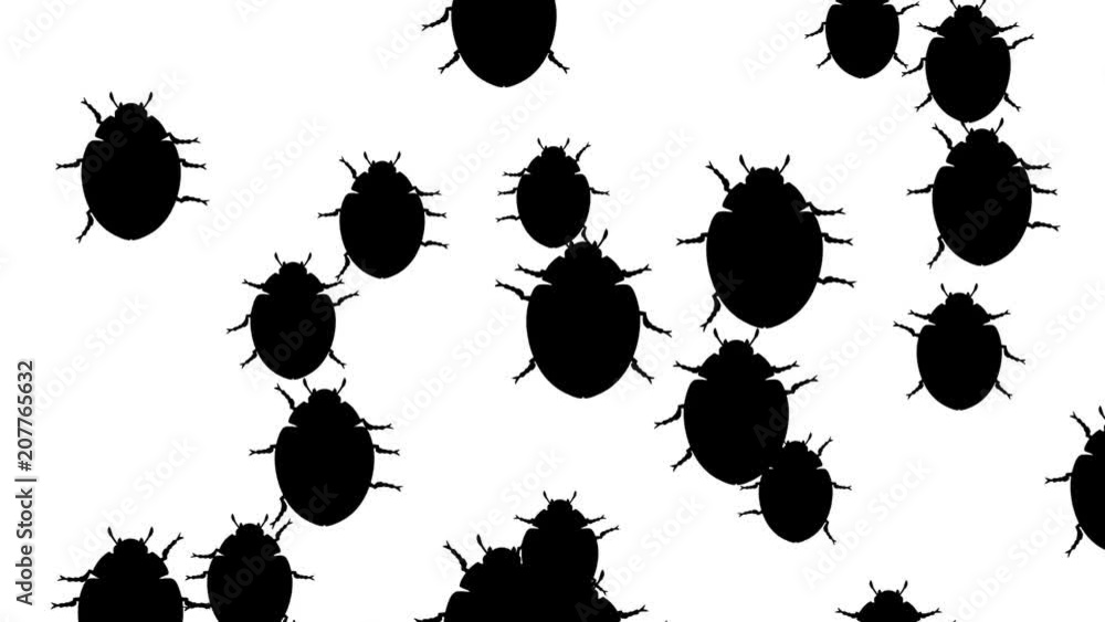 Invasion of hordes of beetles. Crowd of creepy insects runs on a white ...