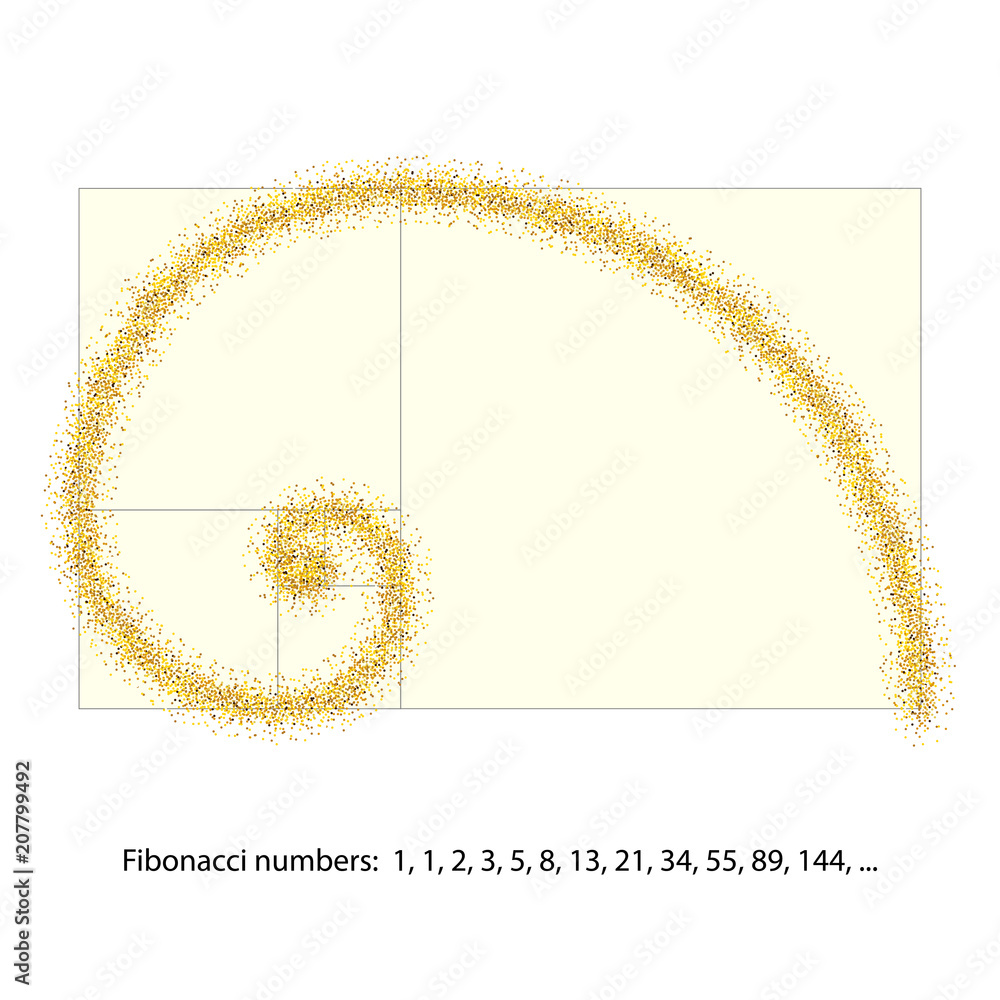 Golden ratio template fibonacci spiral Stock Vector | Adobe Stock