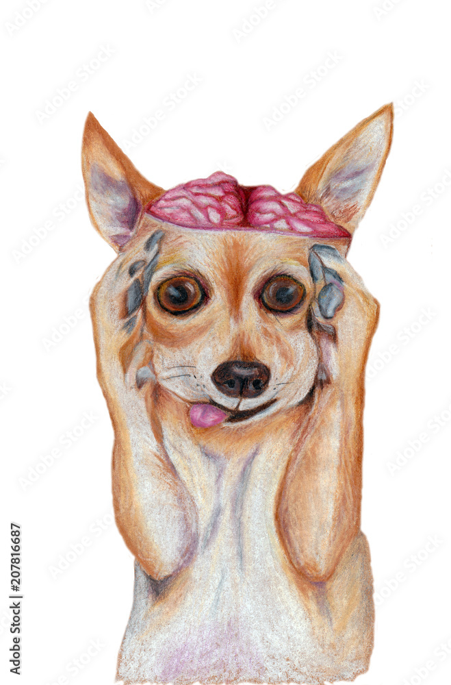 Dog with open brain isolated. Hand drawn by pencil illustration of ...