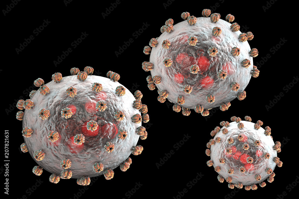 Lassa fever viruses, 3D illustration. RNA-viruses from Arenaviridae ...