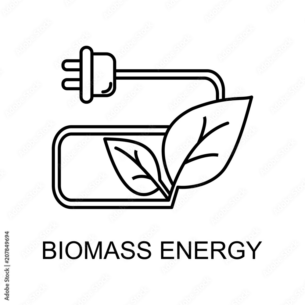 What Is Biomass Used For