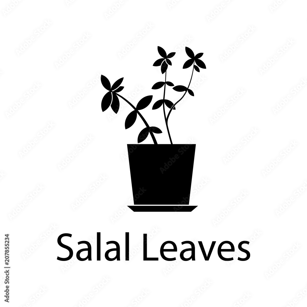 salal leaves illustration. Element of plant icon for mobile concept and ...