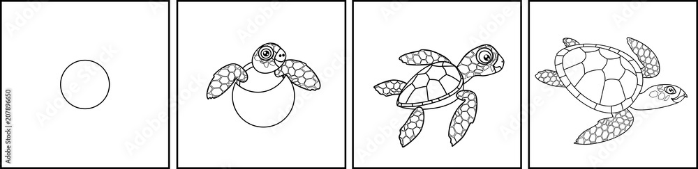Coloring page. Life cycle of sea turtle Stock Vector | Adobe Stock