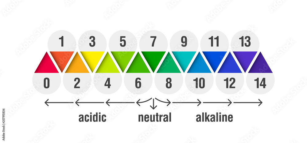 pH value scale chart for acid and alkaline solutions, acid-base balance ...