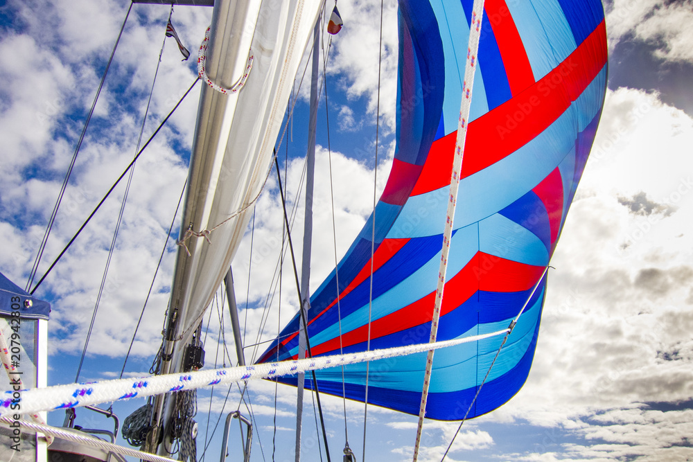 Flying a colorful spinnaker on a seaworthy sailing yacht Stock Photo ...